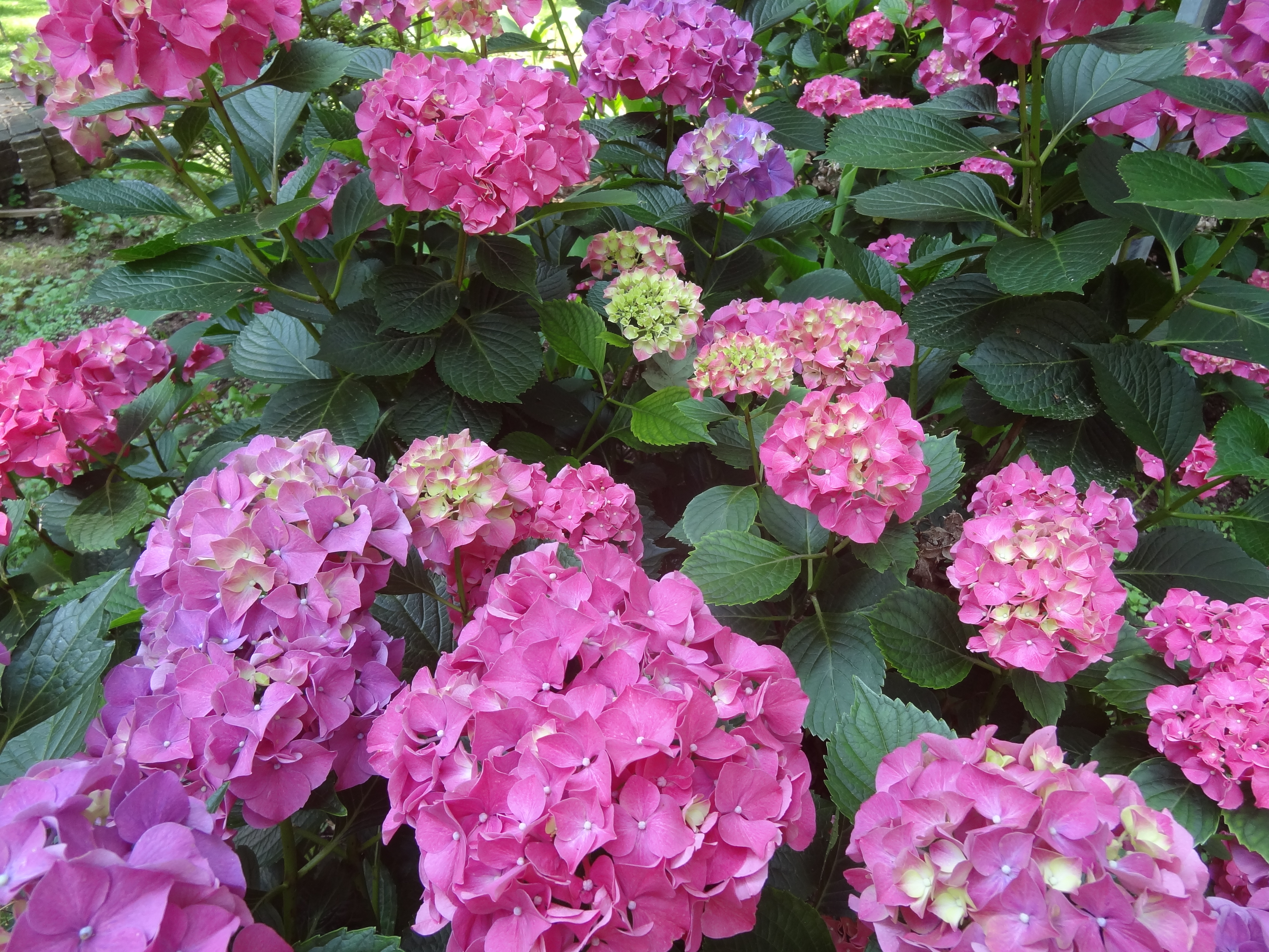 Baltimore Outdoor Wedding Venues :: Baltimore, MD